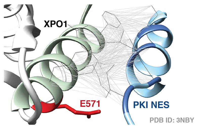 Research | University of Miami Health System